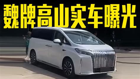 魏牌高山实车曝光8月上市卖这个价还看腾势D9 高清1080P在线观看平台 腾讯视频