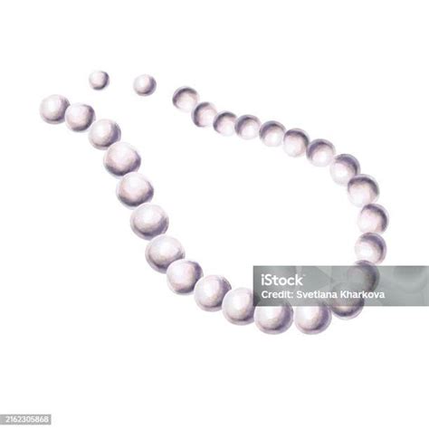 진주 목걸이 수채화 그림 손으로 그린 수채화 구슬 패션 일러스트레이션 카드 뷰티 블로그 컴포지션은 배경과 분리되어 있습니다 갈란드 장식품에 대한 스톡 벡터 아트 및 기타