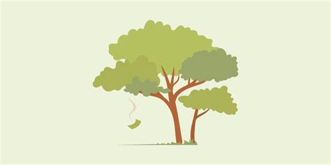 When Should I Start Collecting Cpp Payments