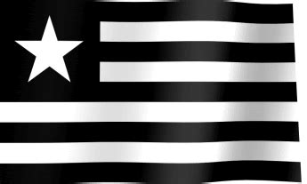 Botafogo De Futebol E Regatas Flag  All Waving Flags