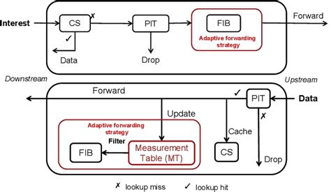 High Performance Measurement In Adaptive Forwarding Of Named Data Networking