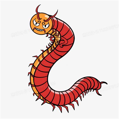 卡通手绘拟人可爱蜈蚣PNG图片素材下载 可爱PNG 熊猫办公