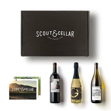 Mini Wine Sampler T Set At Lucille Carmon Blog