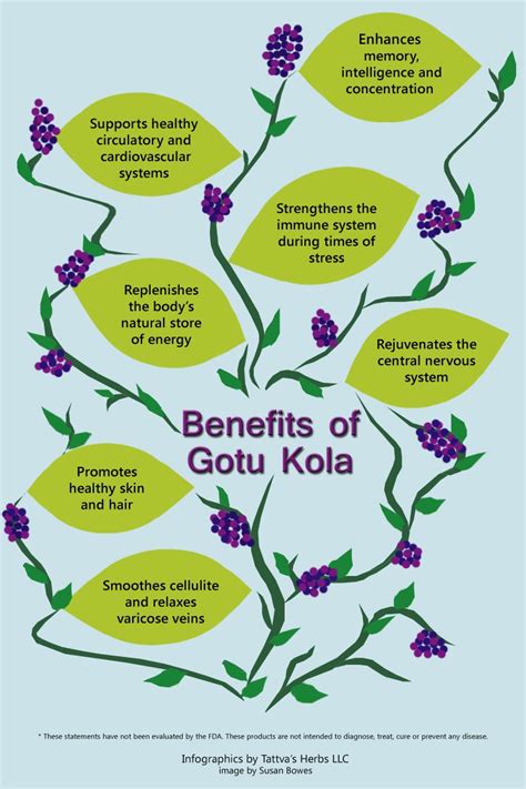 Broccoli Sprout Extract In A Liquid Artofit