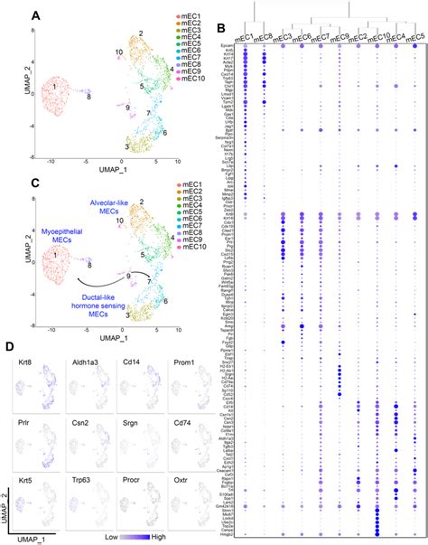 Rna Seq Profiles Of Facs Isolated Cells Improve The Identification Of Download Scientific