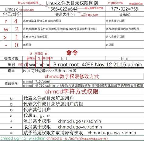 Linux文件目录权限修改及区别 阿里云开发者社区