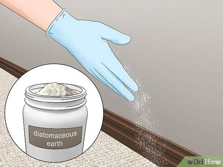 Effective Ways To Get Rid Of Fleas In The House Fast