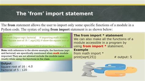 Python Function Narain Srivastava