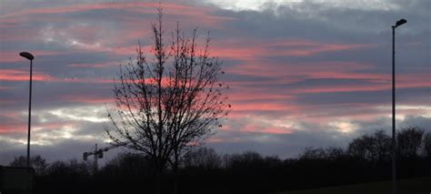 The Building Coder Retrieving All Model Elements