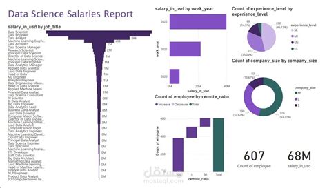 Data Science Salaries Report مستقل