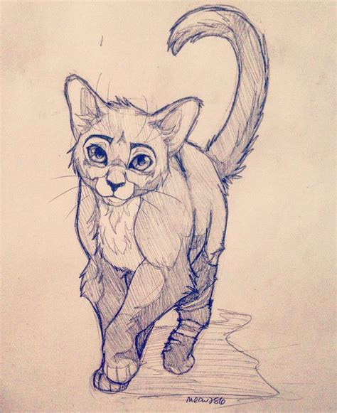 Pencil Warrior Cats Drawings