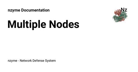 Multiple Nodes Nzyme Documentation