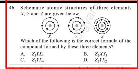 Schematic Atomic Structures Of Three Elements X Y And Z Are Given Below