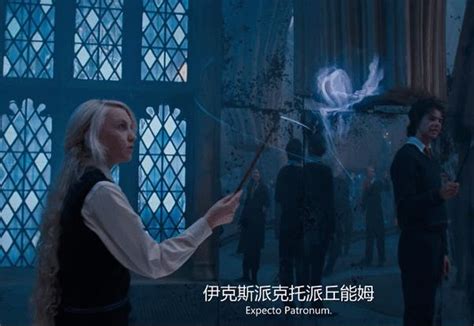 哈利波特《麻瓜魔法指南》之守护神咒 知乎