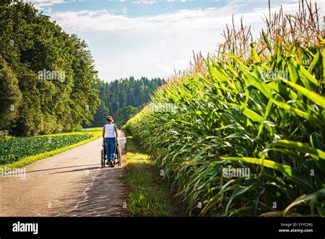 Rear View Of Disabled Handicapped Woman In Wheelchair And Care Helper