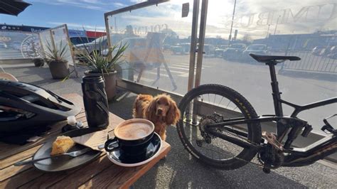 Githublife Mtb Igor Costa