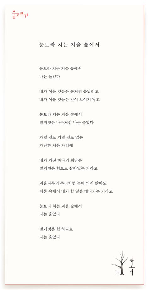 박노해의 걷는 독서 눈보라 치는 겨울 숲에서 나는 울었다 내가 이룬 것들은 눈처럼 흩날리고