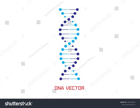 Abstract Dna Strand Symbol Isolated On Stock Vector Royalty Free 1239599263 Shutterstock