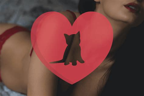 7 Basic Commands Kitten 7 Basic Commands Kitten