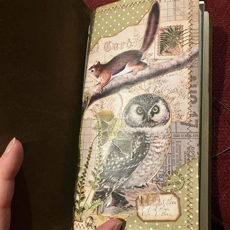 Passport Size Travelers Notebook Insert Birds On A Branch Etsy