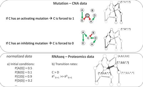 Patient Specific Boolean Models Of Signalling Networks Guide Personalised Treatments Elife