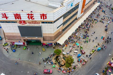 航拍云南昆明斗南花卉市场花市 国内旅游景点 旅游景点 摄影 汇图网www huitu