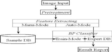 Auto Analysis System Flow Chart Download Scientific Diagram