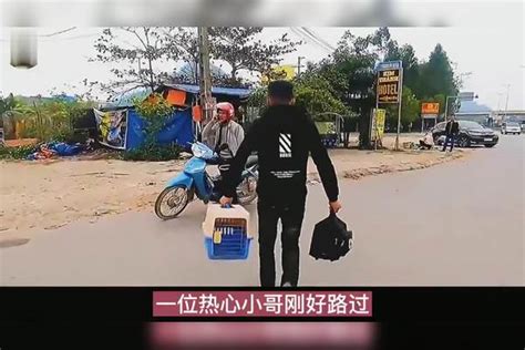 三个月大的狗狗被绑在摩托拖行，命在旦夕，狗男也太狠心了
