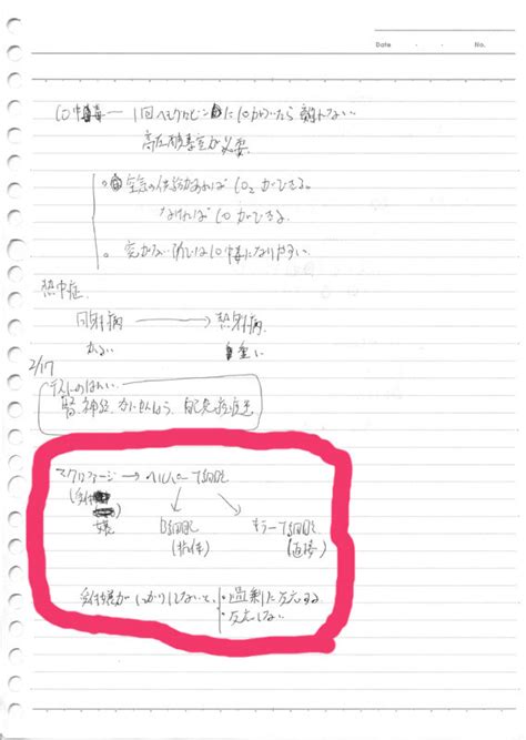 試験の時期が来ました はつかいちトントンブログ