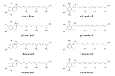 The Structures Of Tocopherol And Tocotrienol Derivatives Download Scientific Diagram