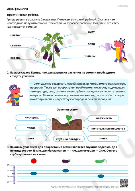 📒 Заметка для учителя “Развитие растения от семени до семени Ответы” для 3 класса Учи ру