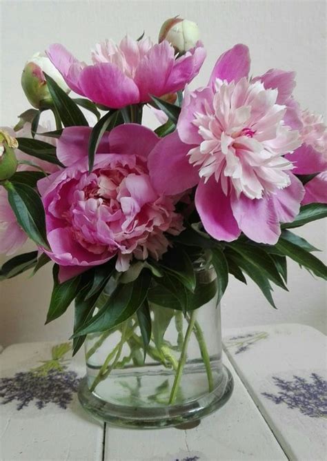 Pav N Adlı Kullanıcının Пионы Panosundaki Pin Çiçek Açan Ağaçlar Şakayık Aranjman