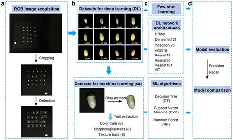 Workflow A RGB Image Acquisition And Processing B Dataset Download Scientific Diagram