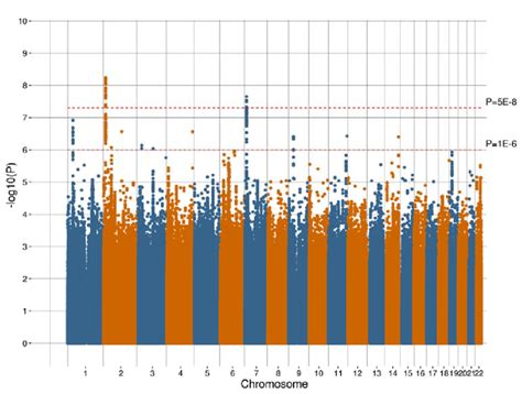 Manhattan Plot Of The Observed Log P Values Of Each Variant For An Download Scientific