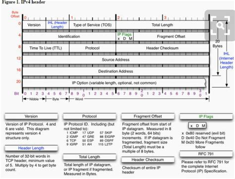 Ipv4 Header Explanation And Networking Basics