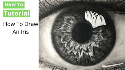 Iris Eye Drawing Color Step By Step At Esteban Roder Blog