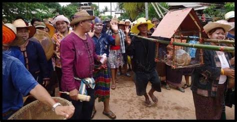 ประเพณี แห่นางแมวคือประเพณีอ่ะไร