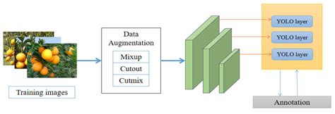 Design Of Citrus Fruit Detection System Based On Mobile Platform And