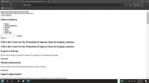 Website Not Loading Correctly On All Browsers Windows 10 Forums