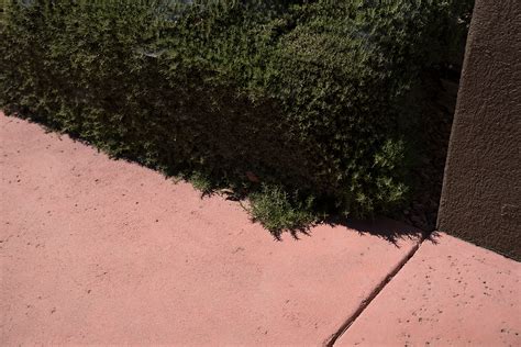 How To Create Your Own Textures Promoting Passion