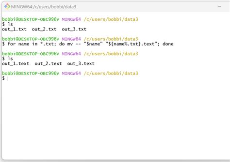 Bash How To Rename Extension Of Multiple Files Collecting Wisdom