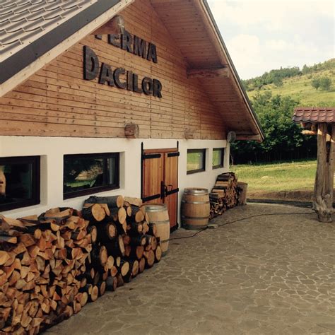 La Ferma Dacilor Sau ”ce Mănânci Tu Pui De Dac” Foodsterescu