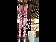 图书馆 Tube Search videos