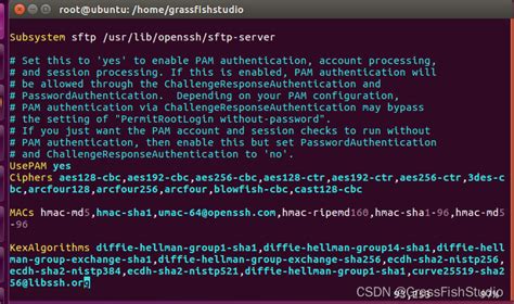 Linux（ssh软件安装及简单使用）linux Ssh安装 Csdn博客