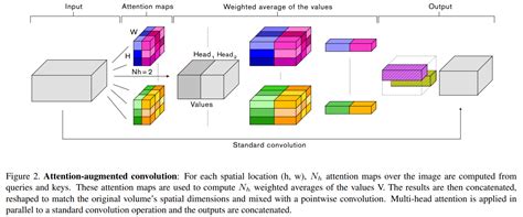 注意力机制之attention Augmented Convolutional Networks Attention Augmented Convnext Unet For Rectal