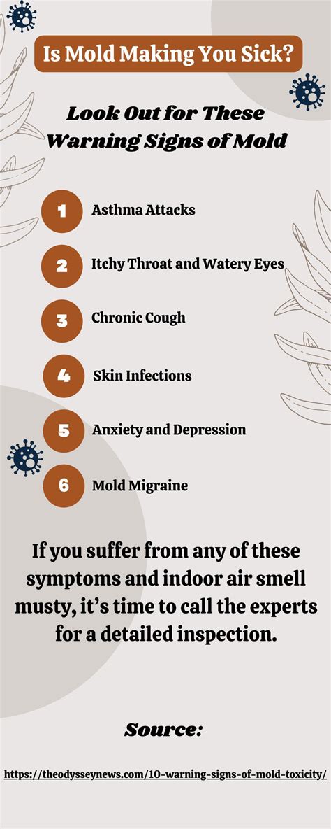 Is Mold Making You Sick By Jm Environmental Inc Issuu