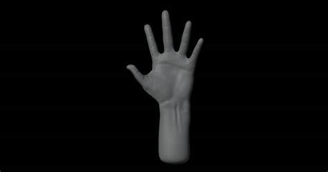 12 Viewport By Ridvan26 On Deviantart