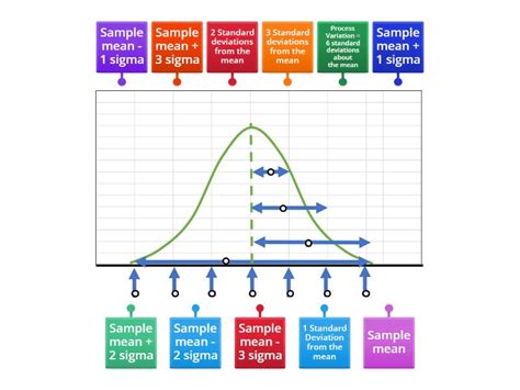 Histogram Labelled Diagram