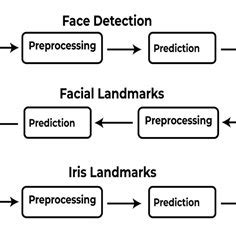 Iris Detection Steps Of The Proposed Model Download Scientific Diagram