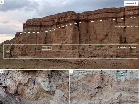 A Typical Section Of The Soft Sediment Deformation Layer In The Download Scientific Diagram
